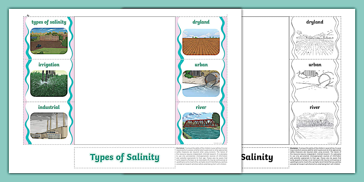 Types of Salinity Writing Flaps (teacher made) - Twinkl