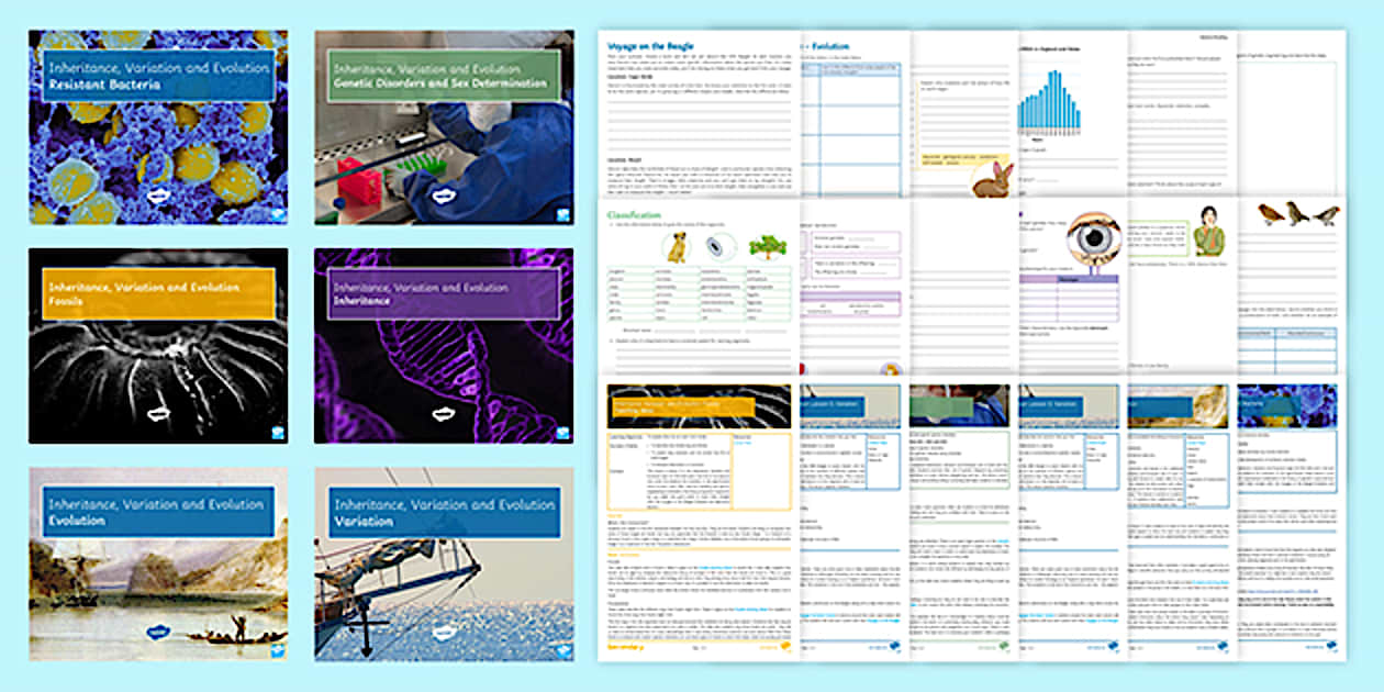 Inheritance, Variation and Evolution Lesson Bundle | Beyond
