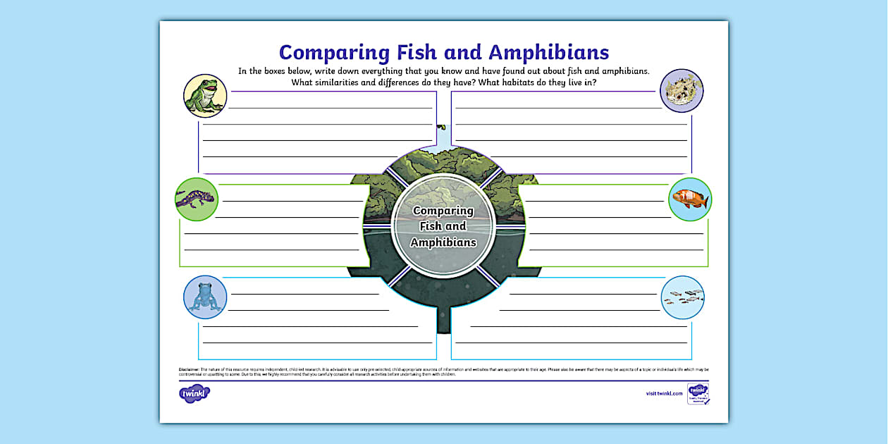 Fish and Amphibians Mind Map (teacher made) - Twinkl