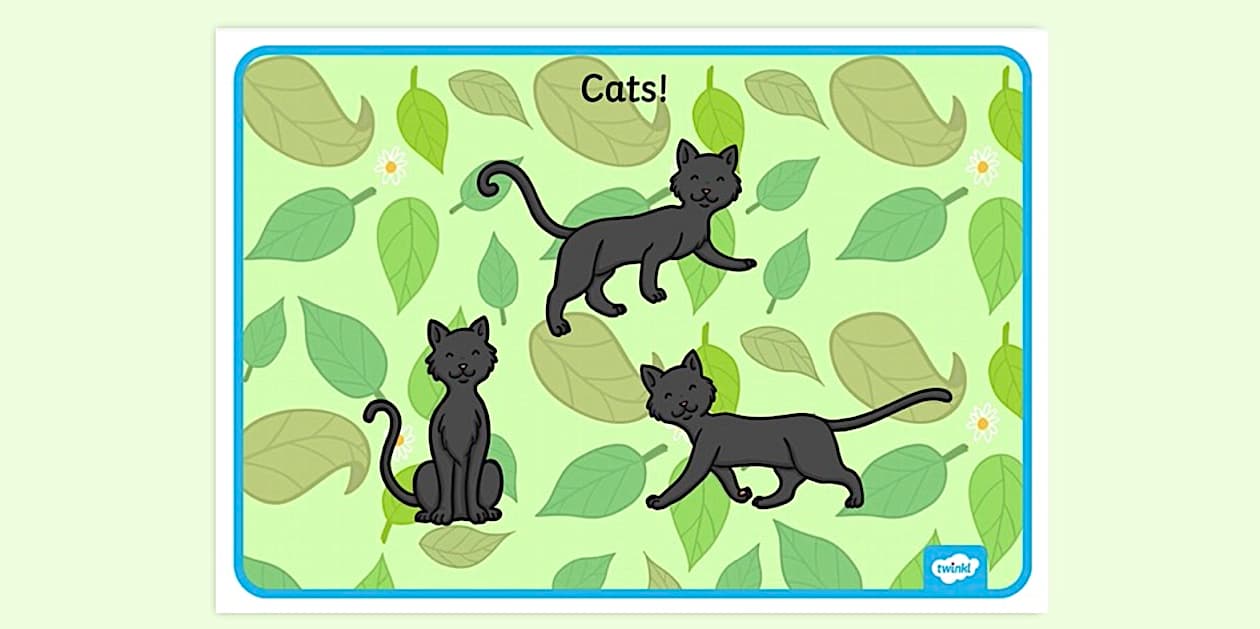 Printable Cats Poster | Twinkl Display Resources - Twinkl
