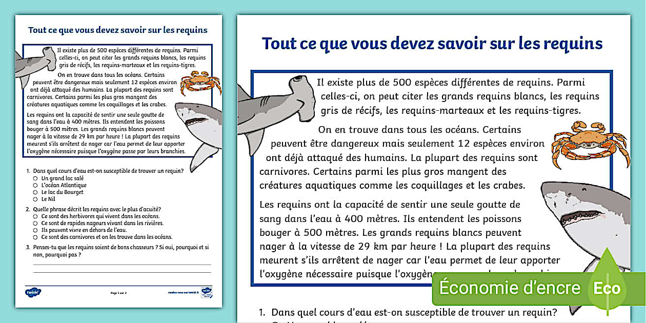 Lecture et compréhension à propos des requins - Twinkl
