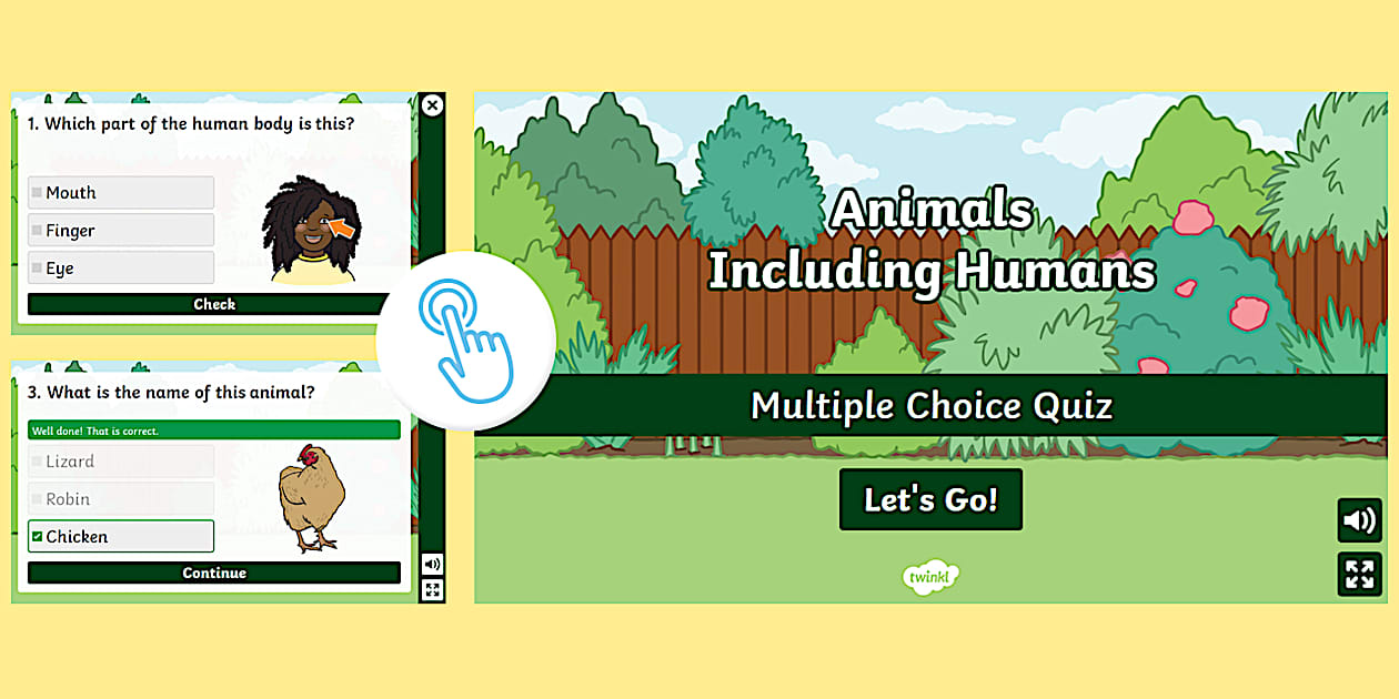 Year 1 Animals Including Humans Multiple Choice Quiz KS1