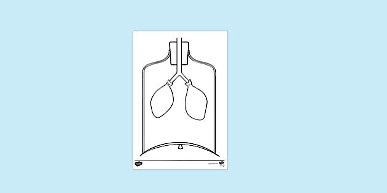 Bell Jar Breathing Experiment Colouring Sheet | Twinkl