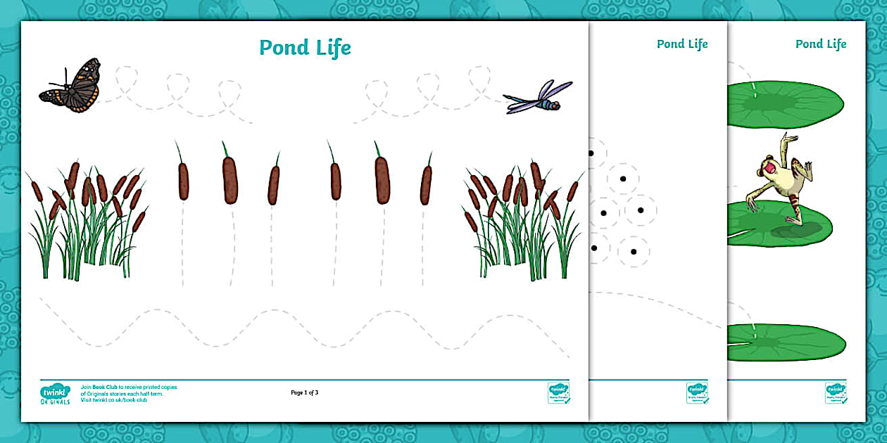 Pond Life Pencil Control Sheets (teacher made) - Twinkl