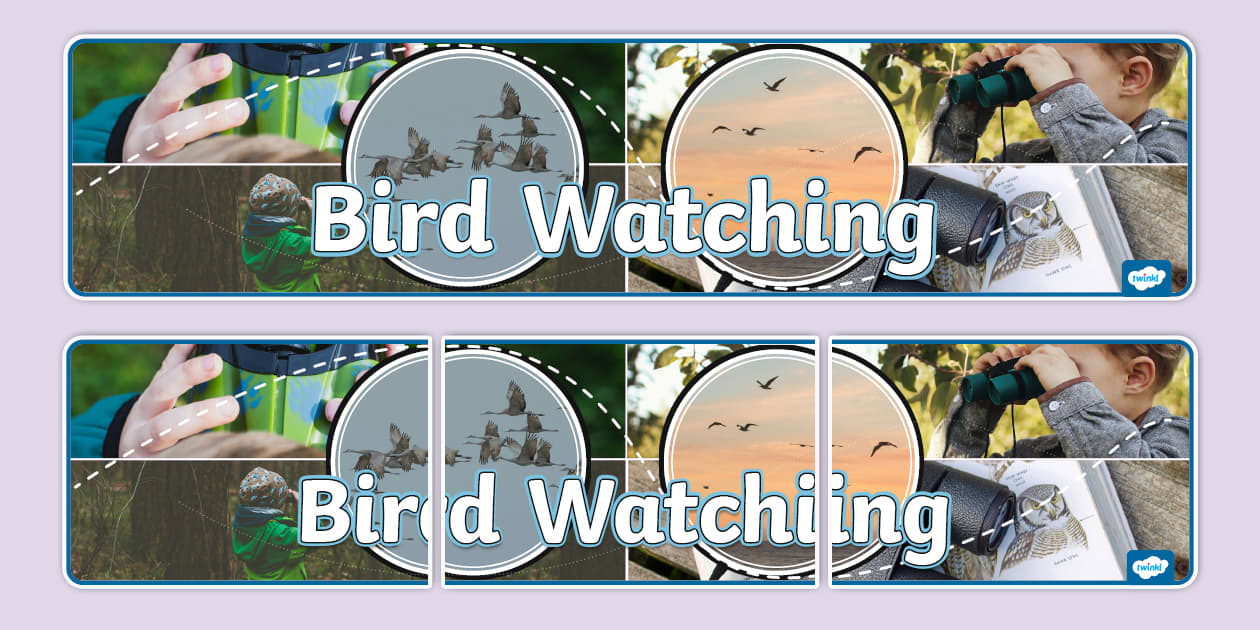 Bird Watching Photo Display Banner (teacher made) - Twinkl