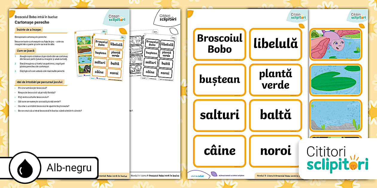 Litera B: Broscoiul Bobo intră în bucluc – Cartonașe pereche