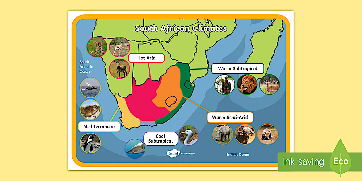 South African Climates Display Poster (teacher made)