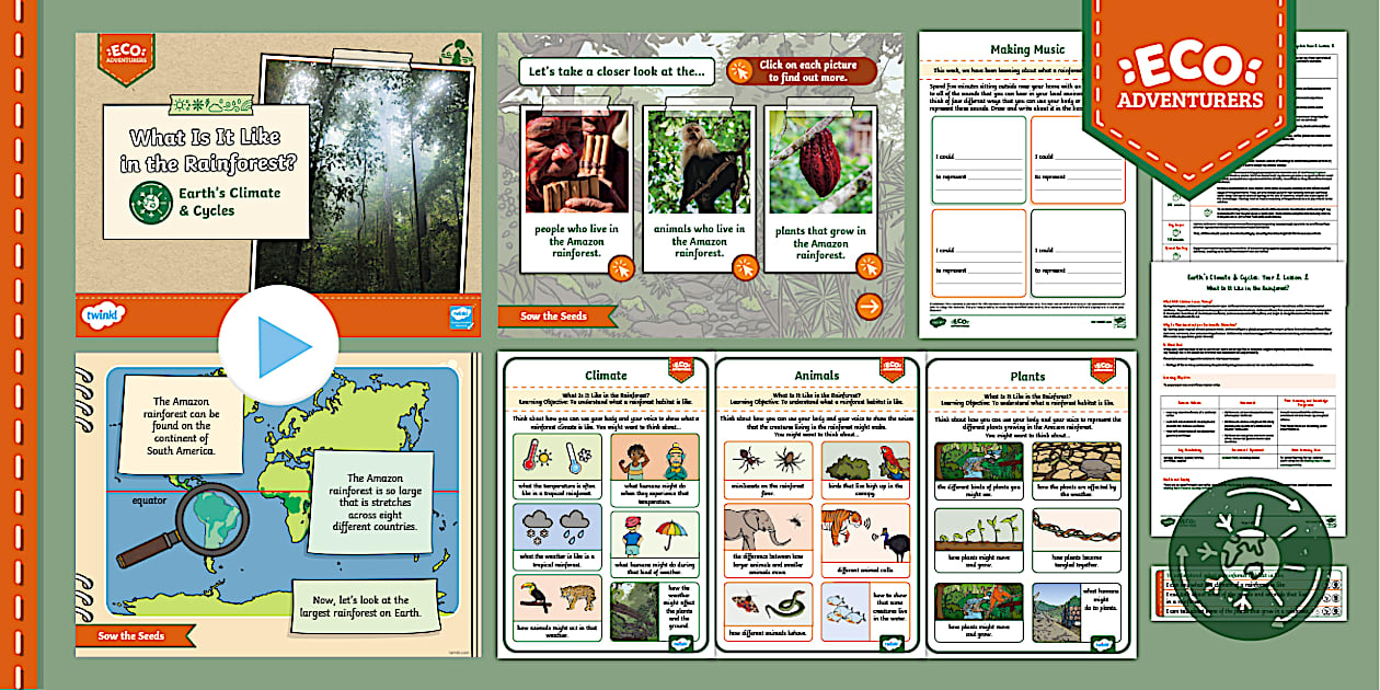 Earth's Climate & Cycles: What Is It Like in the Rainforest? (Year 2)