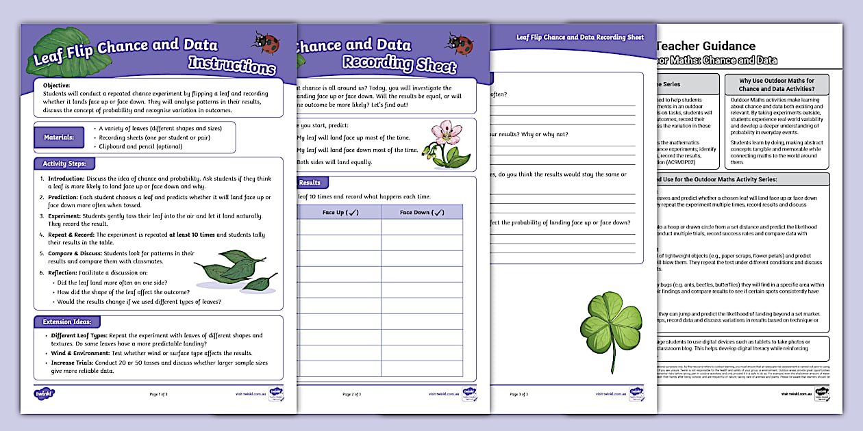 Outdoor Maths: Leaf Flip Chance and Data - Twinkl