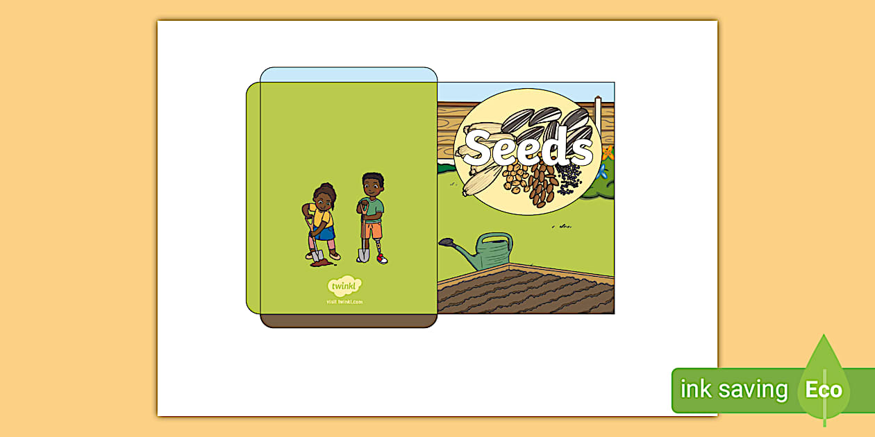 Seed Packet Cut-Out | Twinkl (teacher made) - Twinkl