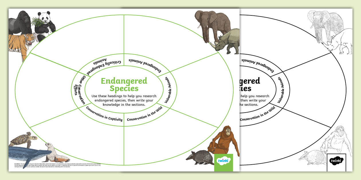 Around the Table Endangered Species Conservation - Twinkl