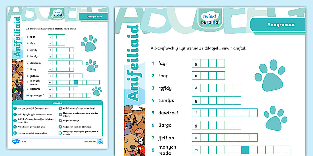 Anagramau Anifeiliaid Lefel 2 (Teacher-Made) - Twinkl