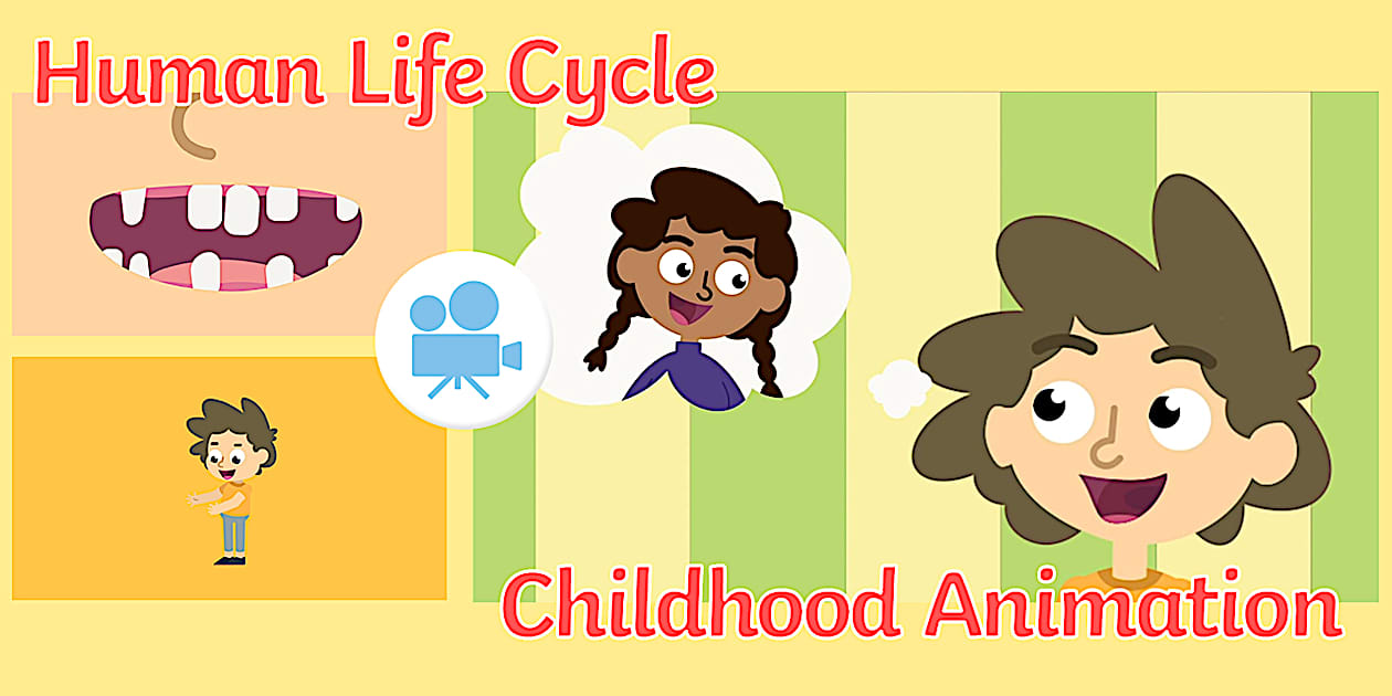Human Life Cycle: KS2 Childhood Animation | Twinkl Go!
