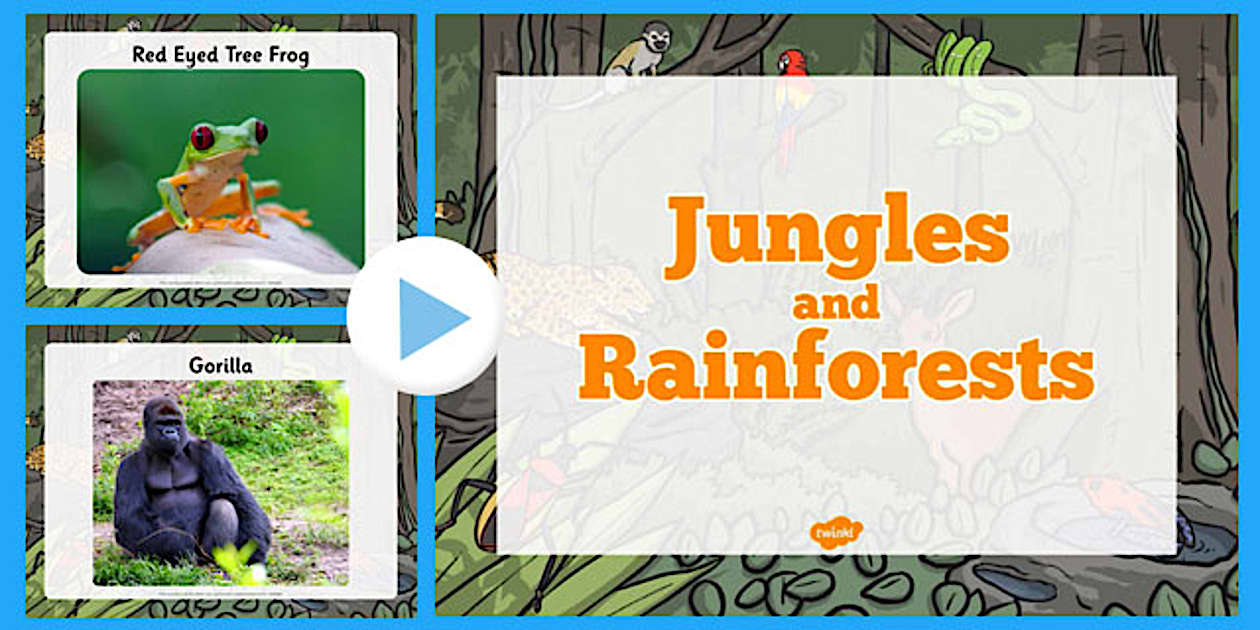 Rainforest PowerPoint - ESL Rain forest Photos - Twinkl