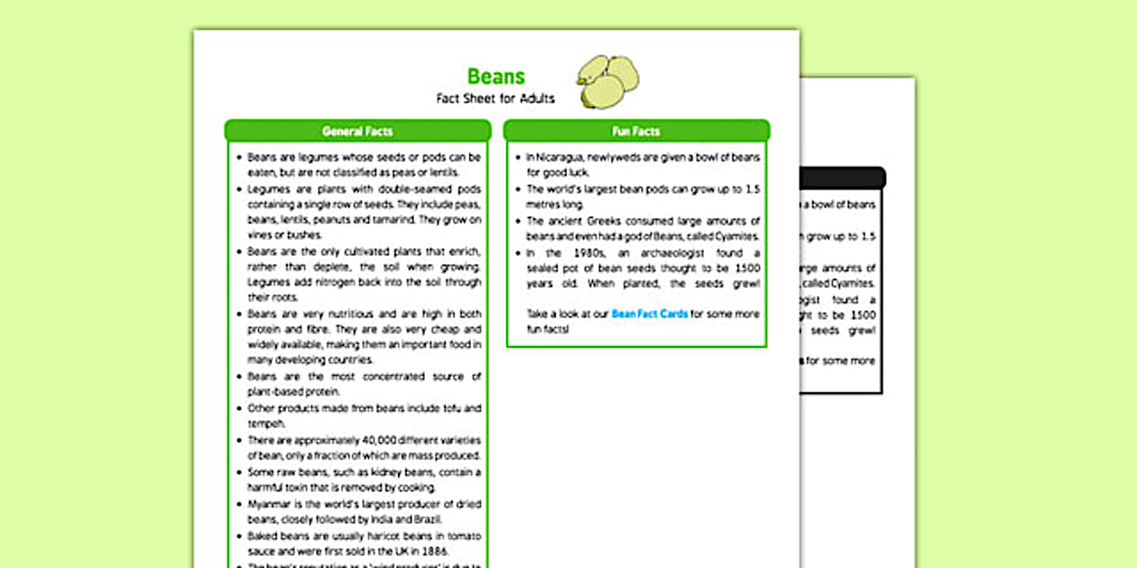 Beans Fact Sheet for Adults