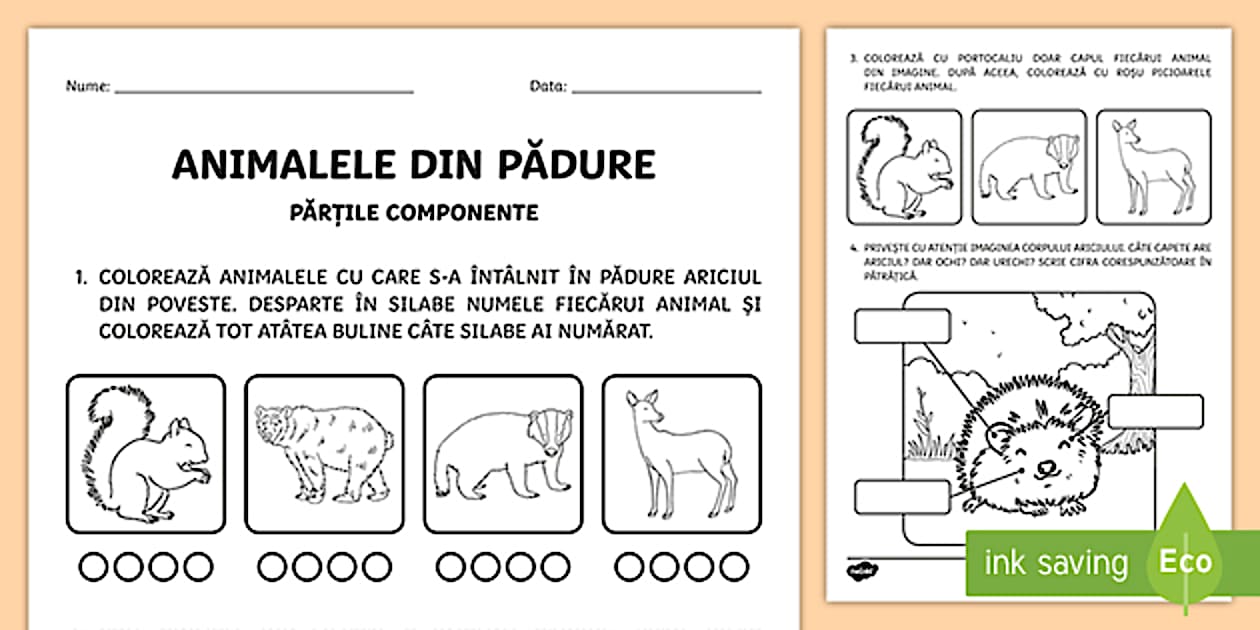 Părțile componente ale unui animal | Resurse Twinkl România