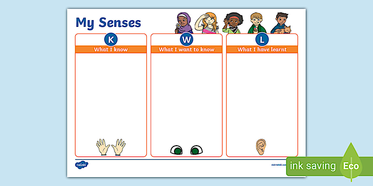 My Senses Topic KWL Grid - Twinkl