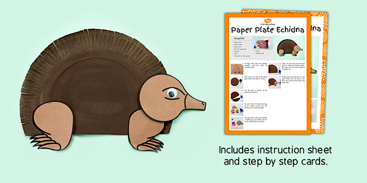 Paper Plate Echidna Craft (teacher made) - Twinkl