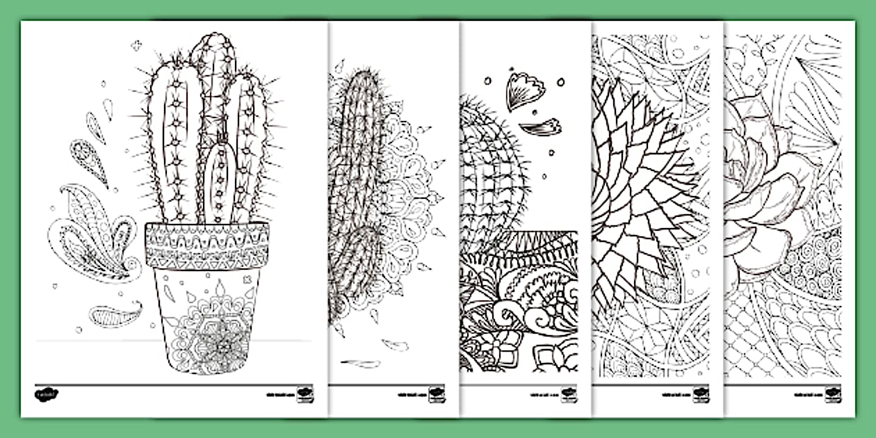 Cactus Coloring Sheets for Mindful Coloring | Twinkl
