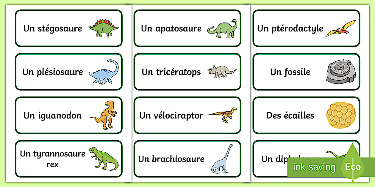 Cartes de vocabulaire : Les dinosaures (l'enseignant a fait)