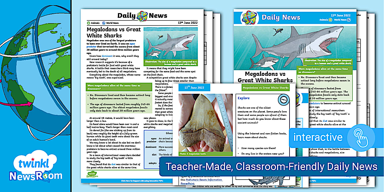 Megalodons vs Great White Sharks | Twinkl Resources - Twinkl