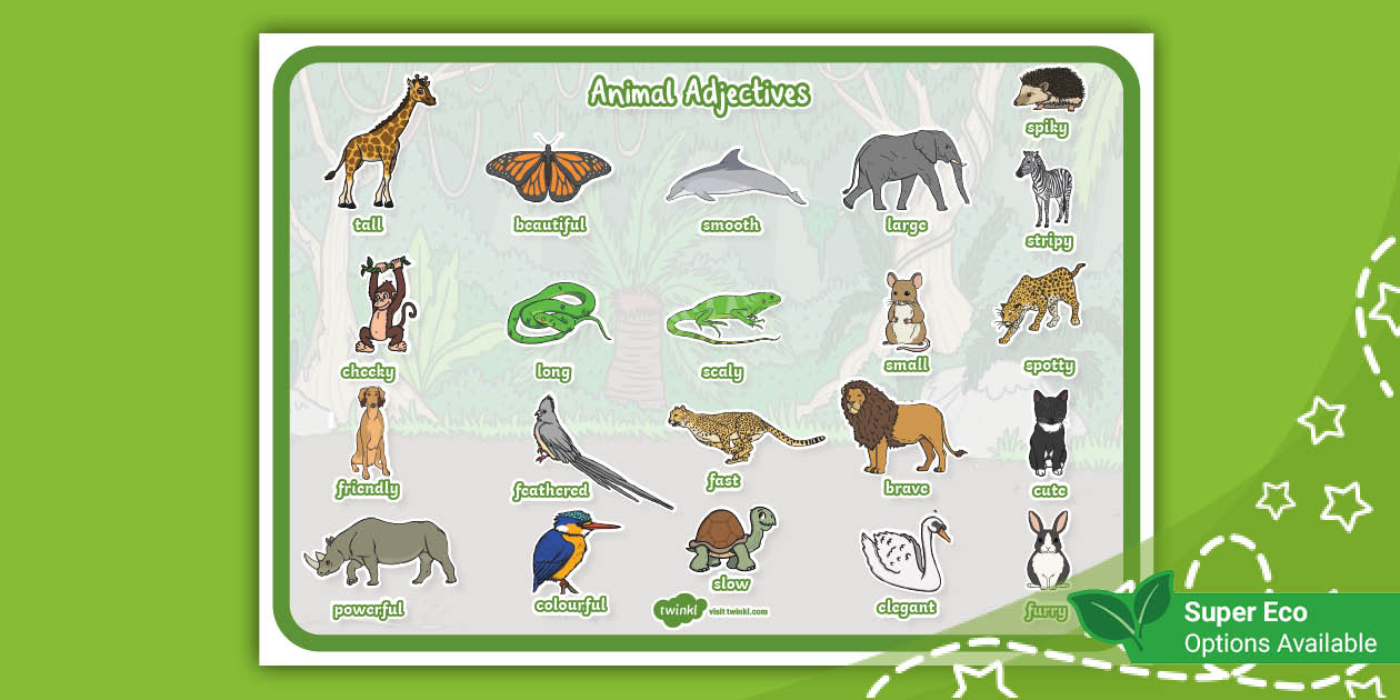 Descriptive Animal Adjectives (Ages 5 - 7)