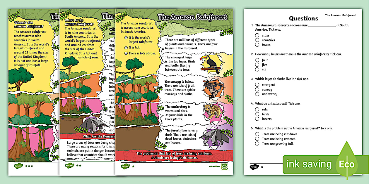 KS1 The Amazon Rainforest Differentiated Comprehension