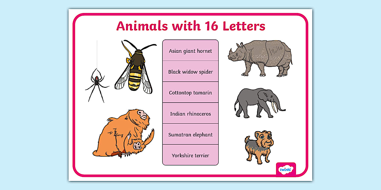 Animals with 16 Letters Display Poster (teacher made)