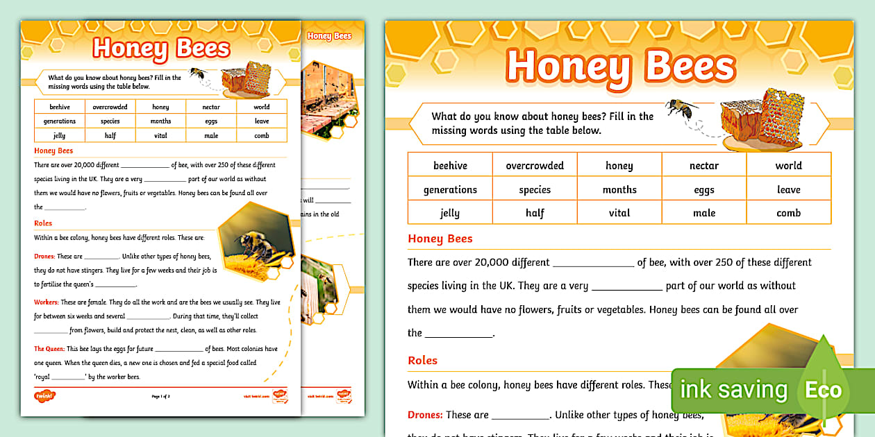 Honey Bees Cloze Worksheet (teacher made) - Twinkl