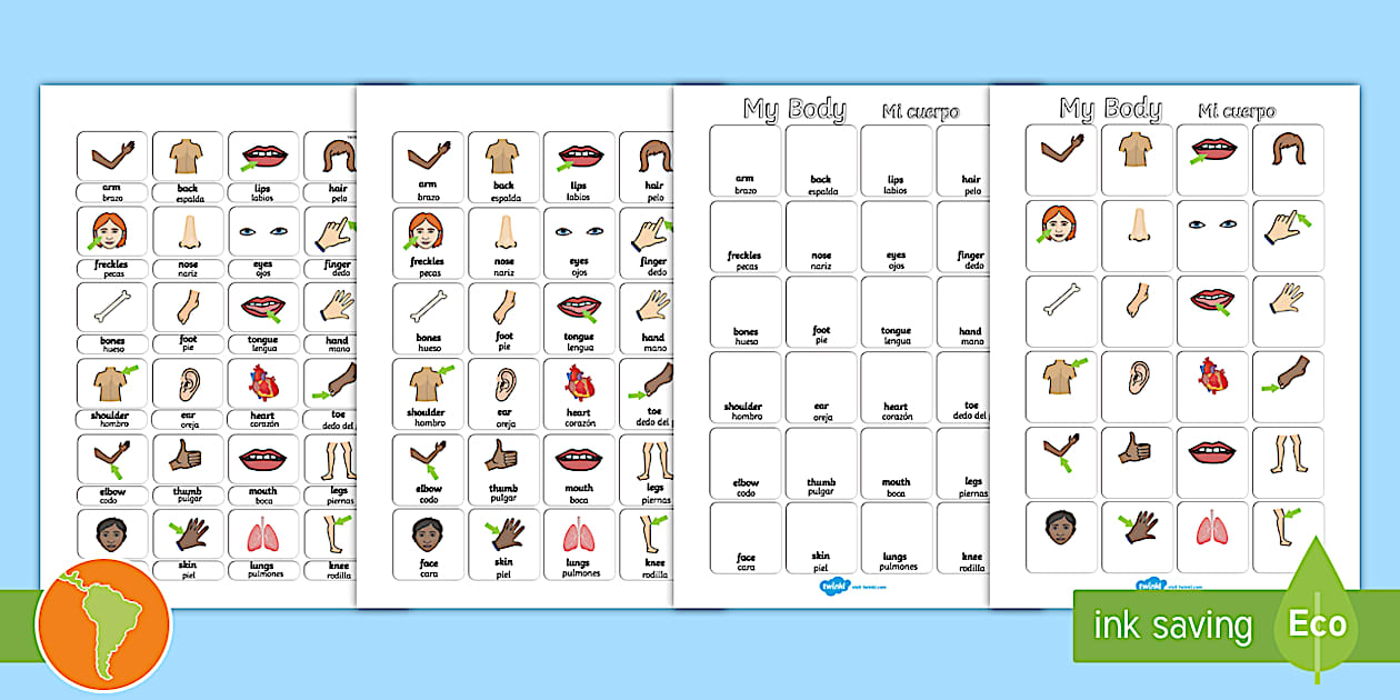 My Body Vocabulary Matching Mat English/Spanish - My Body Vocabulary ...