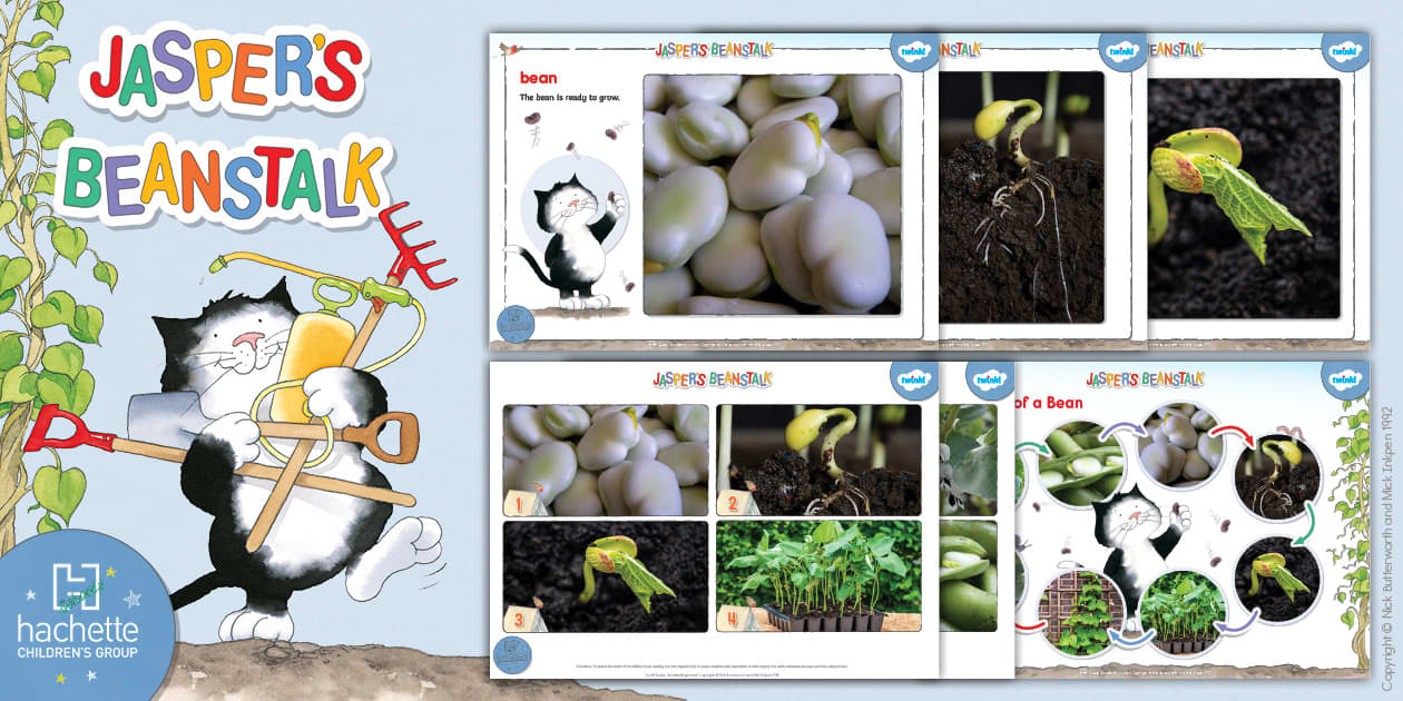 FREE! - Jasper’s Beanstalk | Life Cycle of a Bean Activity