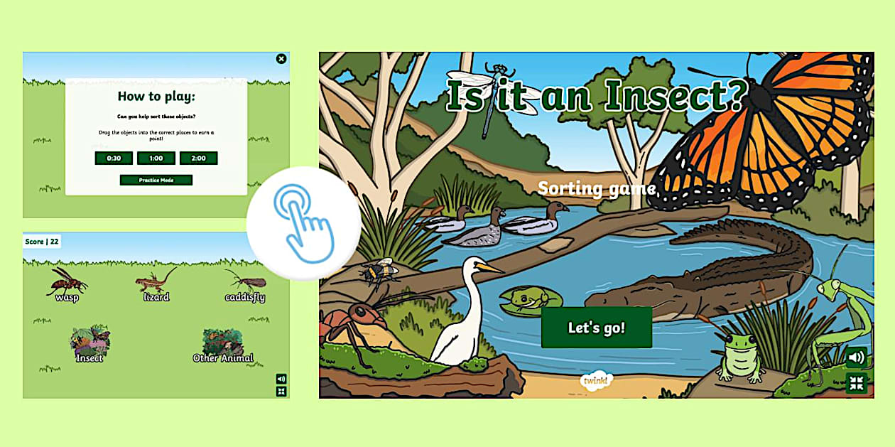 Is It an Insect? Sorting Game (teacher made) - Twinkl