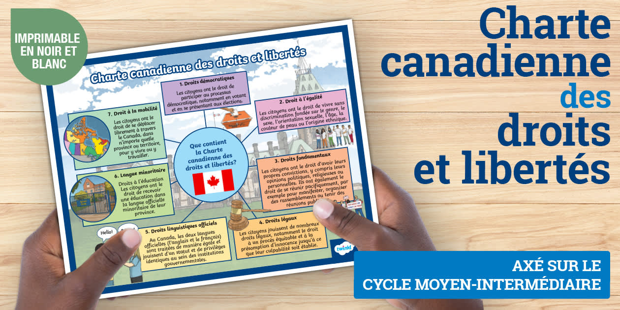 * NEW * Canadian Charter of Rights and Freedoms Poster French