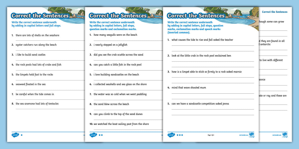 Correct the Sentences - Seashore Activity Sheet - Twinkl