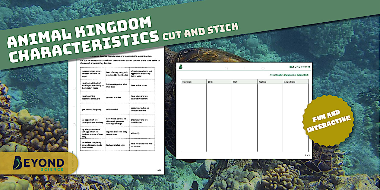 Animal Kingdom Characteristics Cut and Stick | Beyond