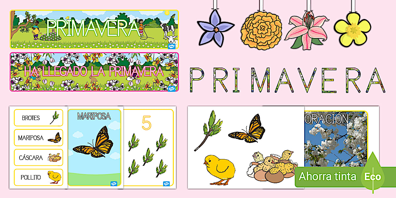 Pack de exposición: La primavera (teacher made) - Twinkl