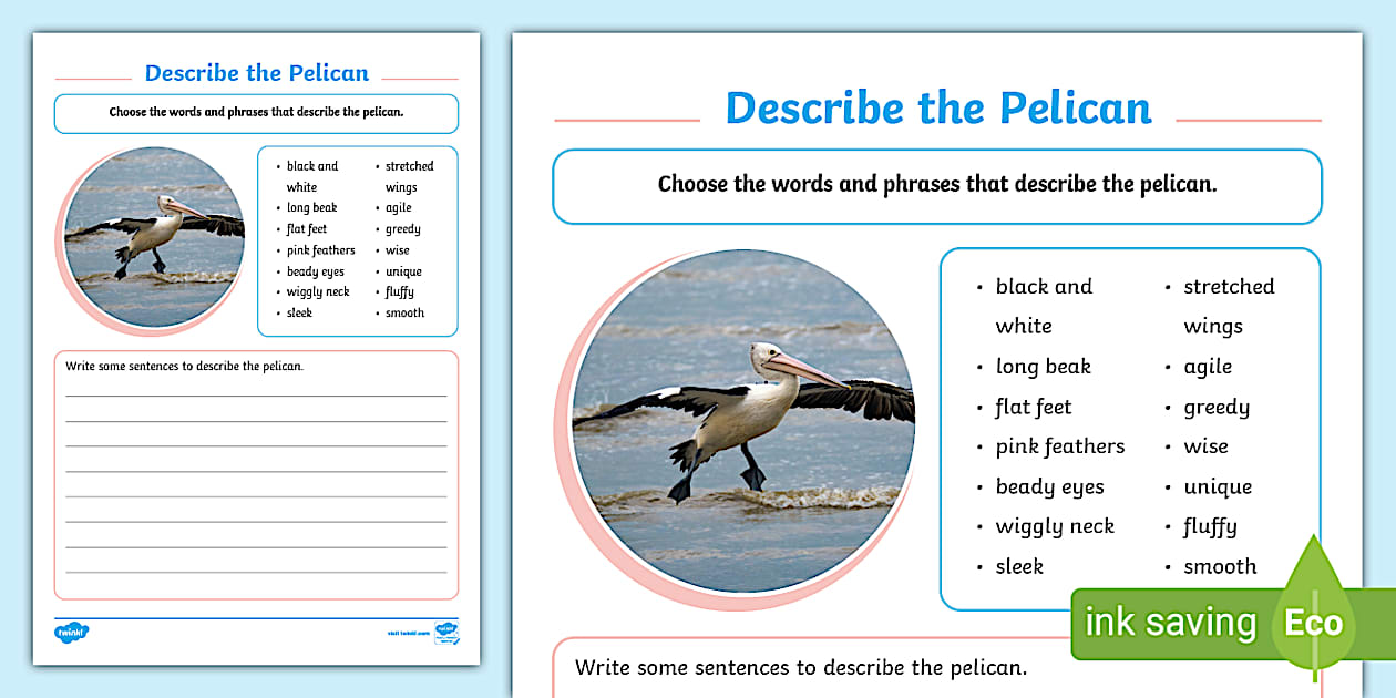 Describe the Pelican Writing Activity Sheet (teacher made)