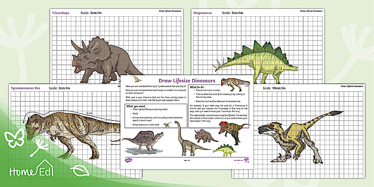 Draw Lifesize Dinosaurs Activity Pack (teacher made)