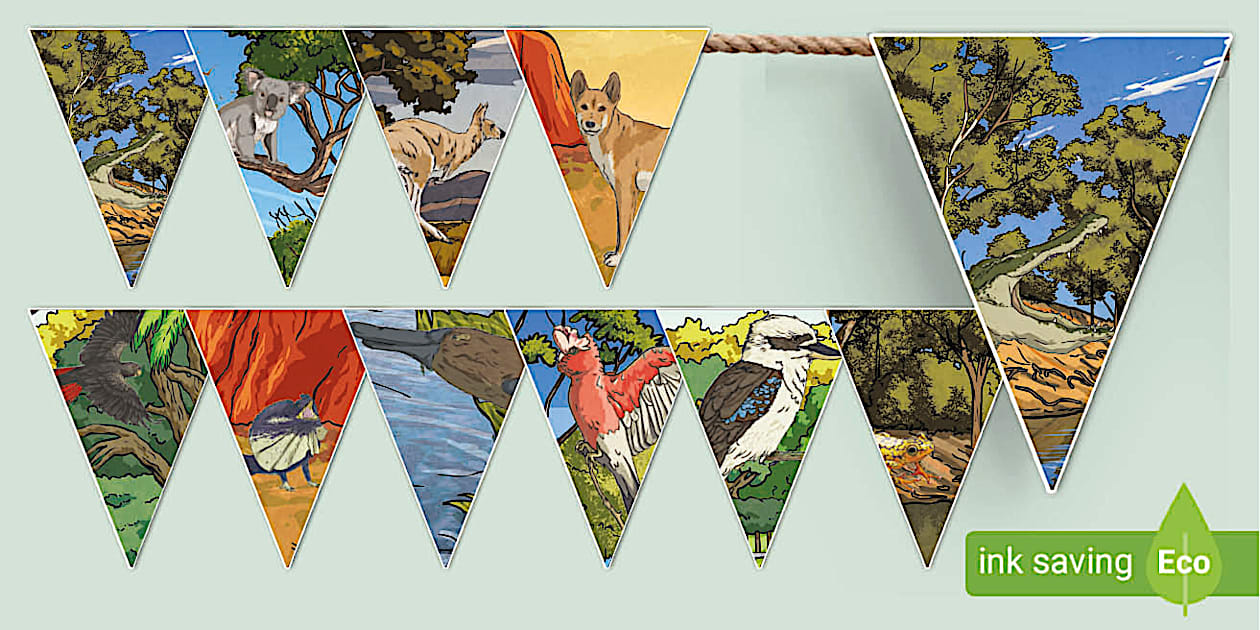 Native Australian Animals Display Bunting (teacher made)