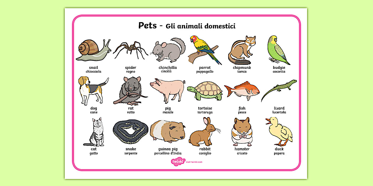 Pets Word Mat English/Italian - Pets Word Mat (teacher made)