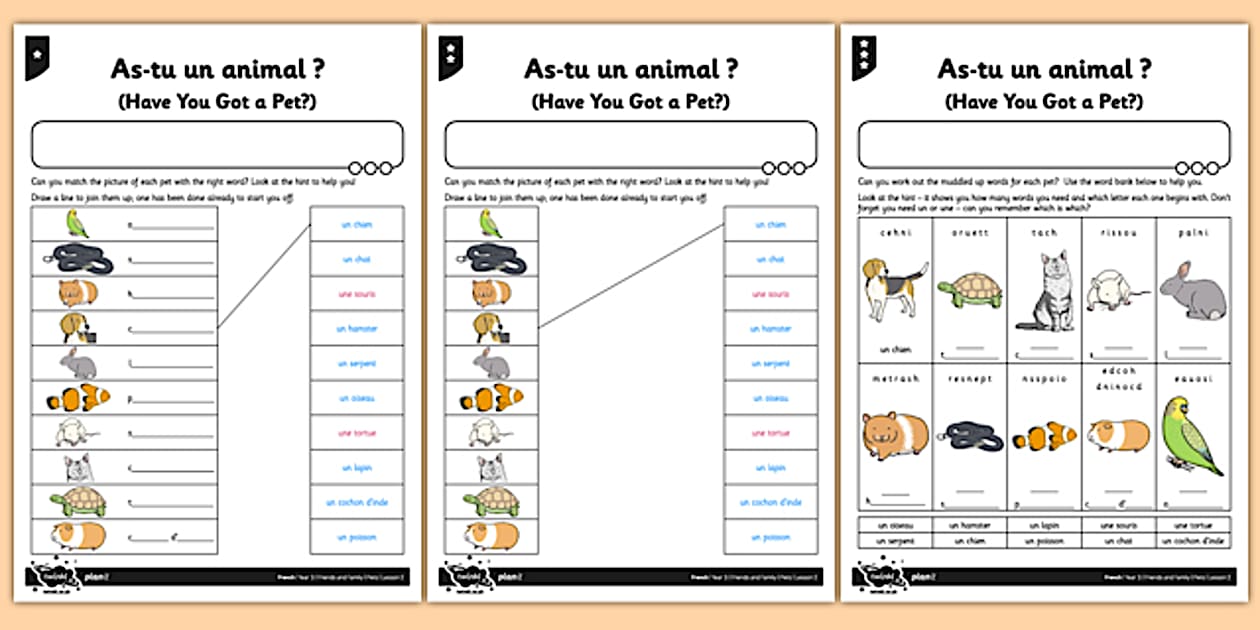 Editable French Have You Got a Pet Worksheet - Twinkl