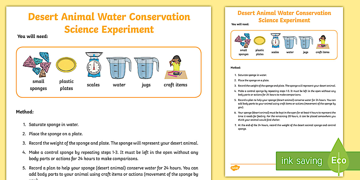 Animals Conserving Water Science Experiment - Twinkl