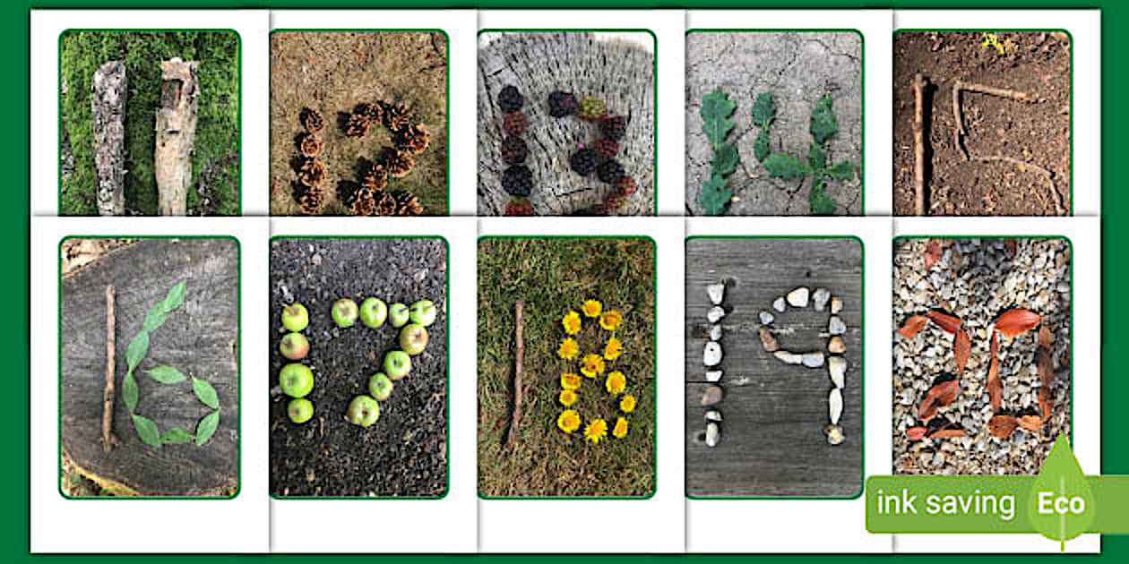 👉 Nature-Themed Numbers 11-20 Display Posters - Twinkl