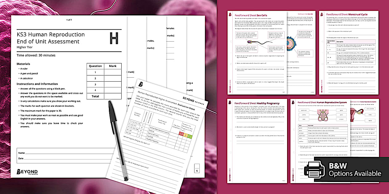 Human Reproduction Assessment Higher | KS3 Biology | Beyond