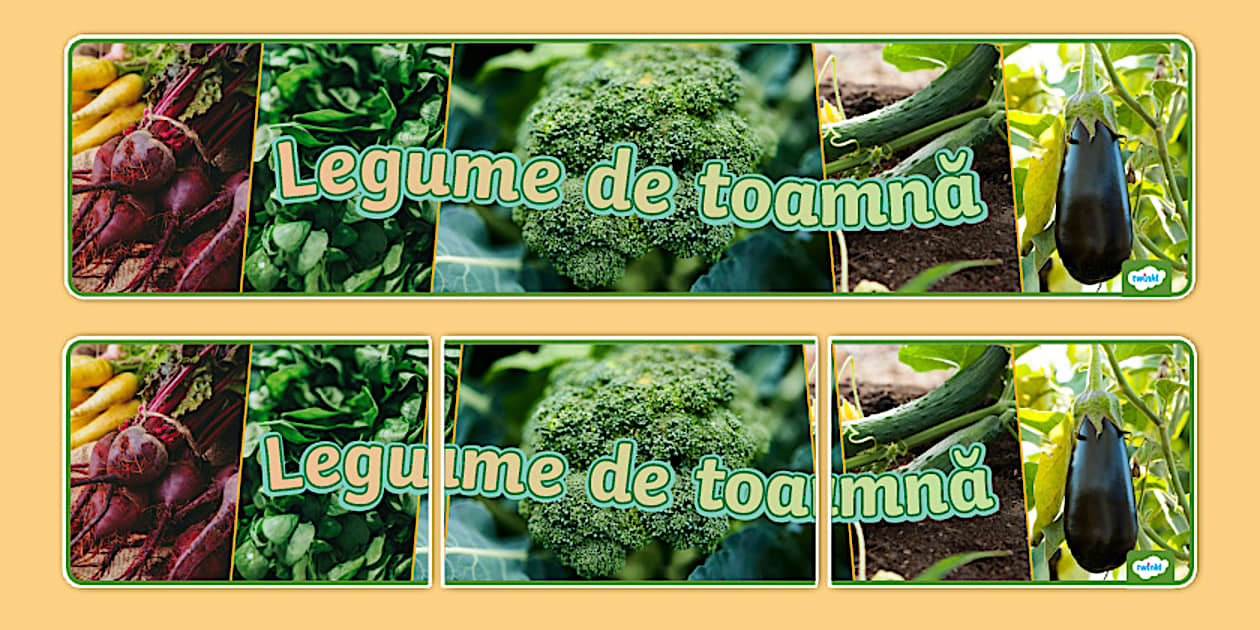 Legume de toamnă – Banner (teacher made) - Twinkl
