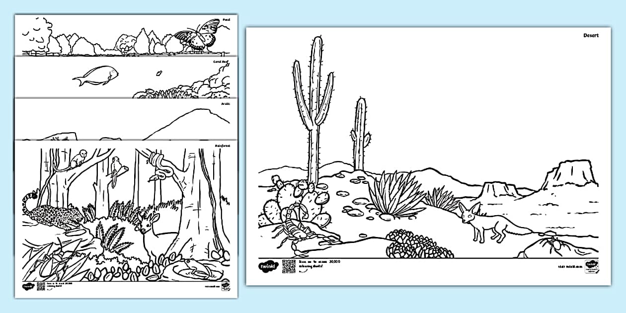 Animals Habitat Scenes Colouring Pages (teacher made)