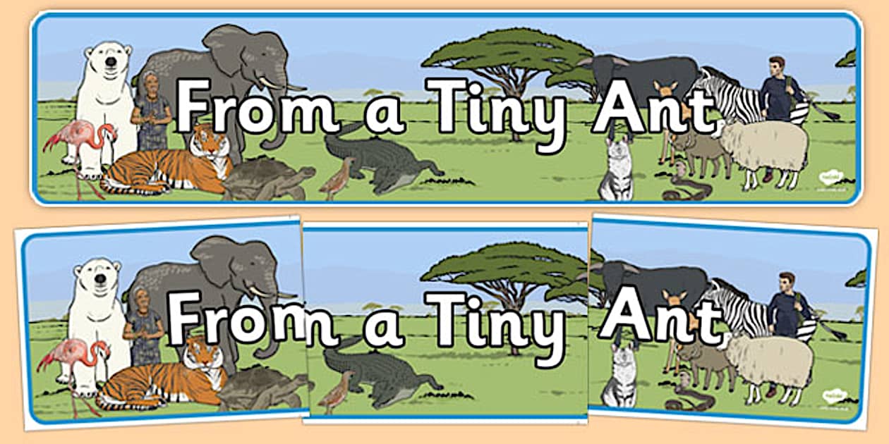👉 From a Tiny Ant Display Banner (teacher made) - Twinkl
