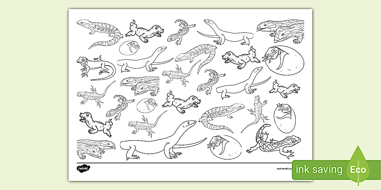 Lizard Doodle Colouring Page (teacher made) - Twinkl