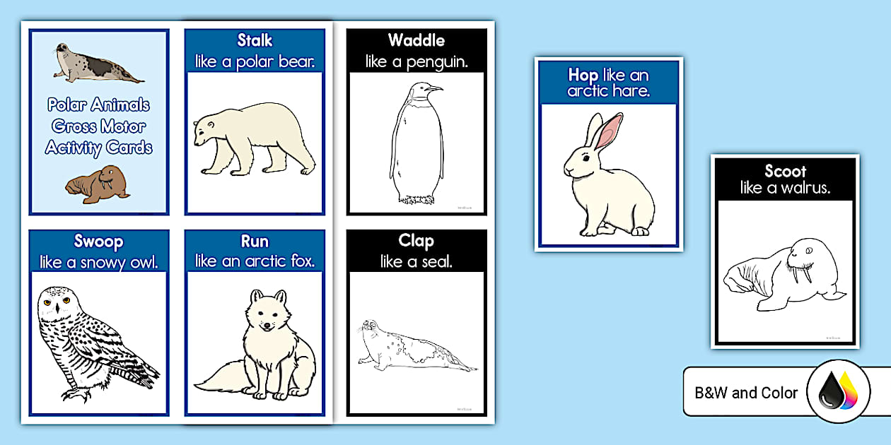 Polar Animals Gross Motor Activity Cards (teacher made)