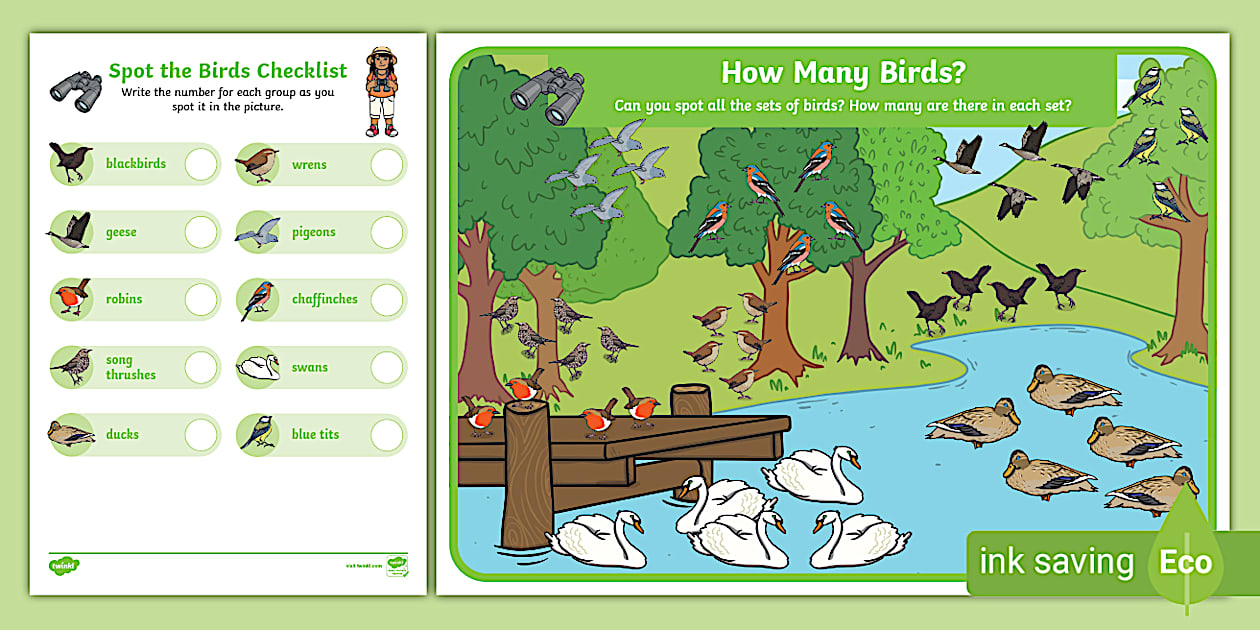 👉 How Many Birds? Activity | Twinkl (Teacher-Made)